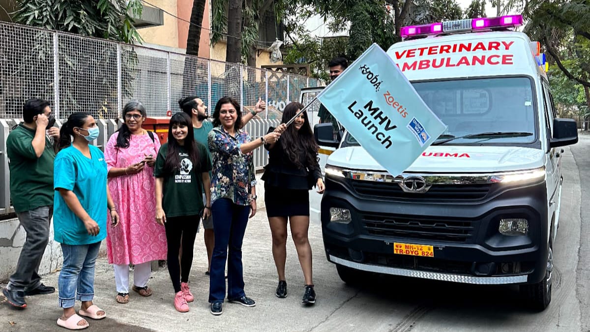YODA to launch its first animal ambulance with Priya Dutt | Global ...